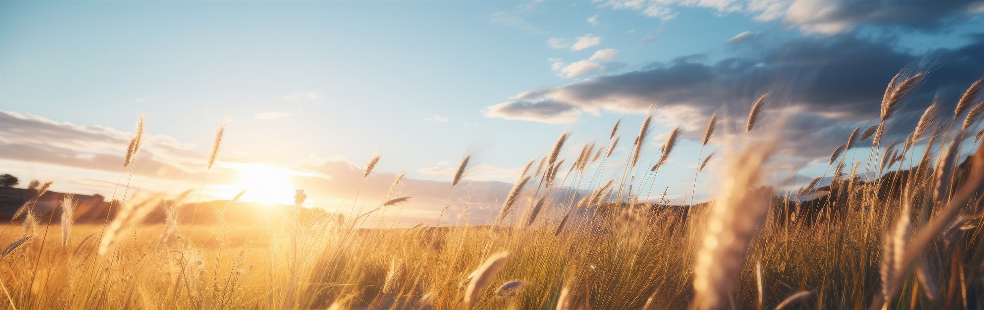 Obituary, Visitation & Funeral Information | Dr. Peter Louis M.D.